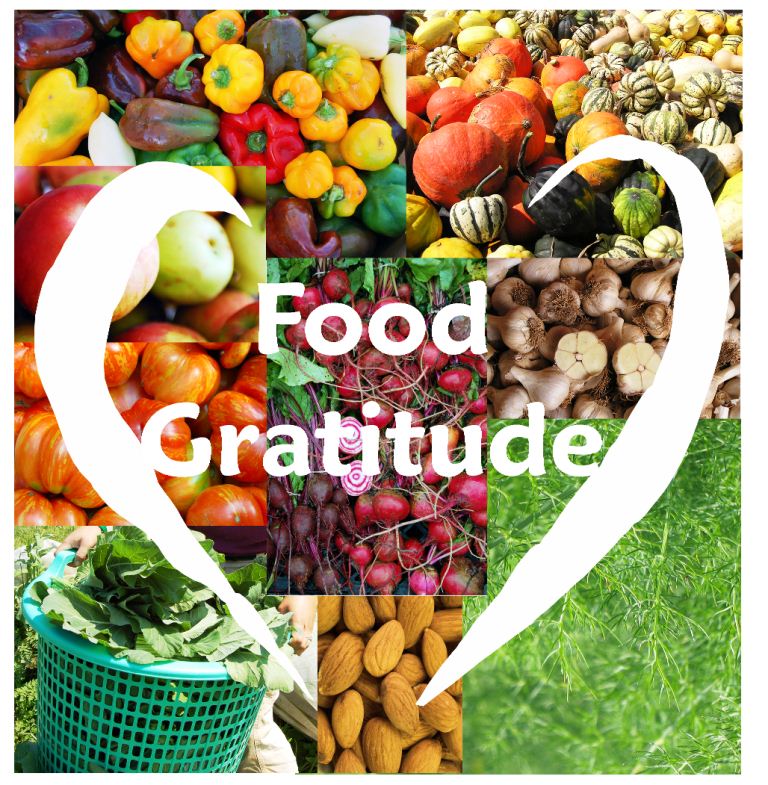 Food Gratitude Program - Community for Conscious Living